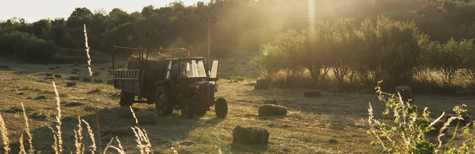 Osiguranje od suše - Sve ce biti u Redu | Triglav.rs Poljoprivreda