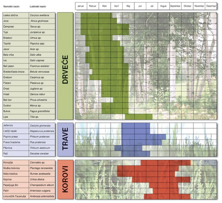 Kako pomoći sebi kod alergije na polen? - Sve ce biti u Redu | Triglav ...